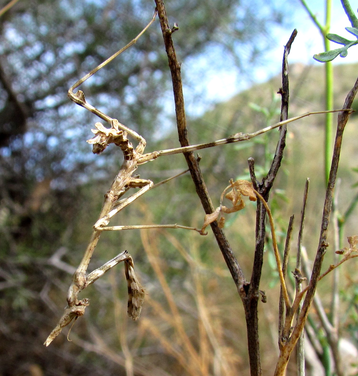 REFLEXIONES: noviembre 2011