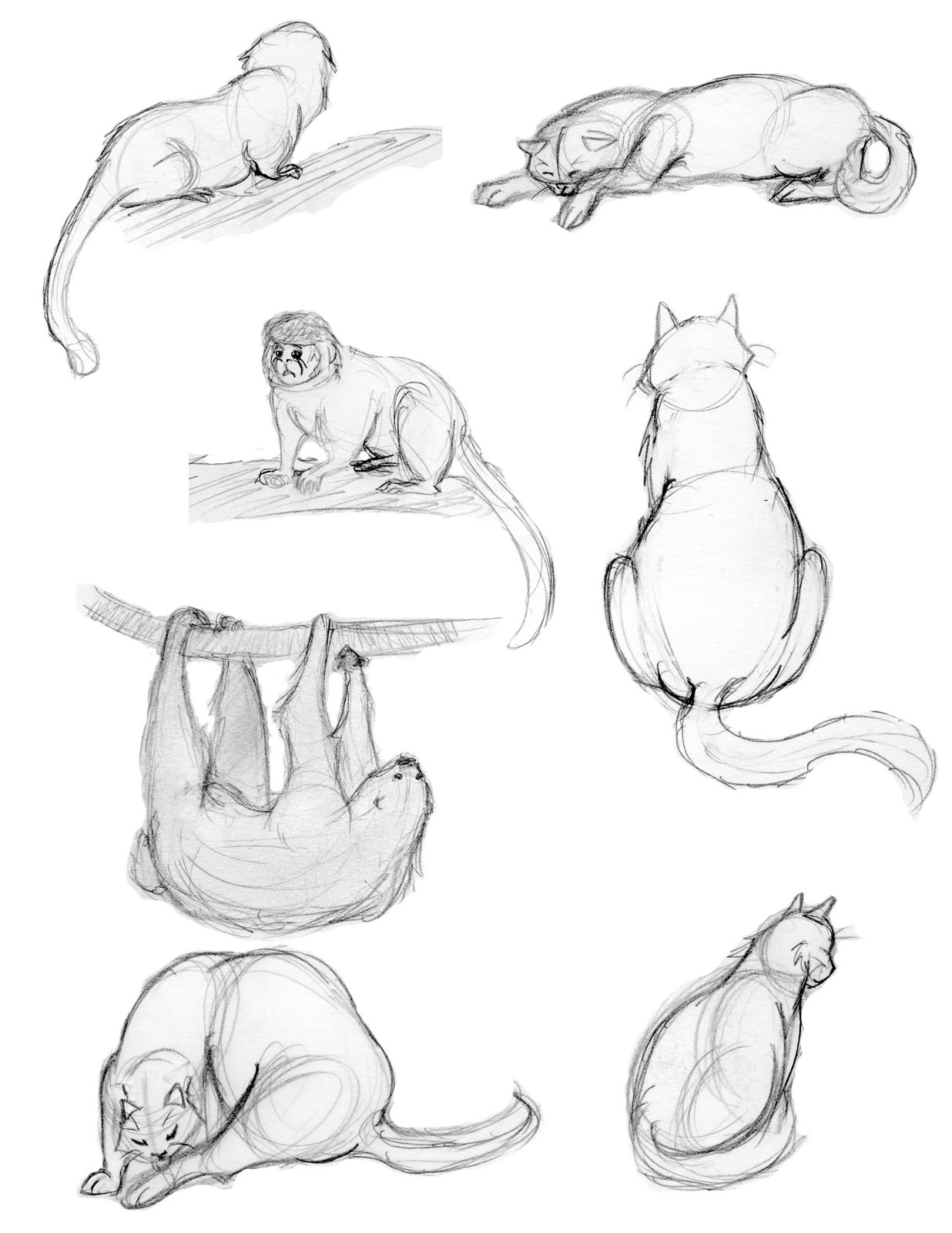 Lizzy's Art Blog: Capilano Portfolio 2011!