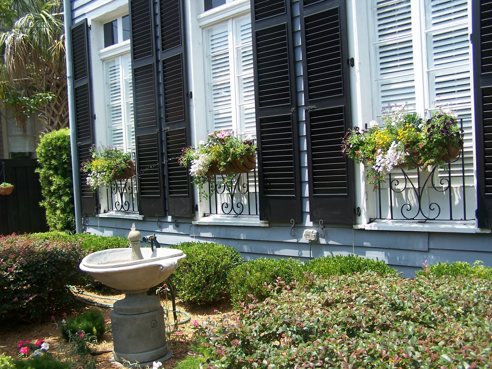 two doors down: The Windows Boxes of Charleston