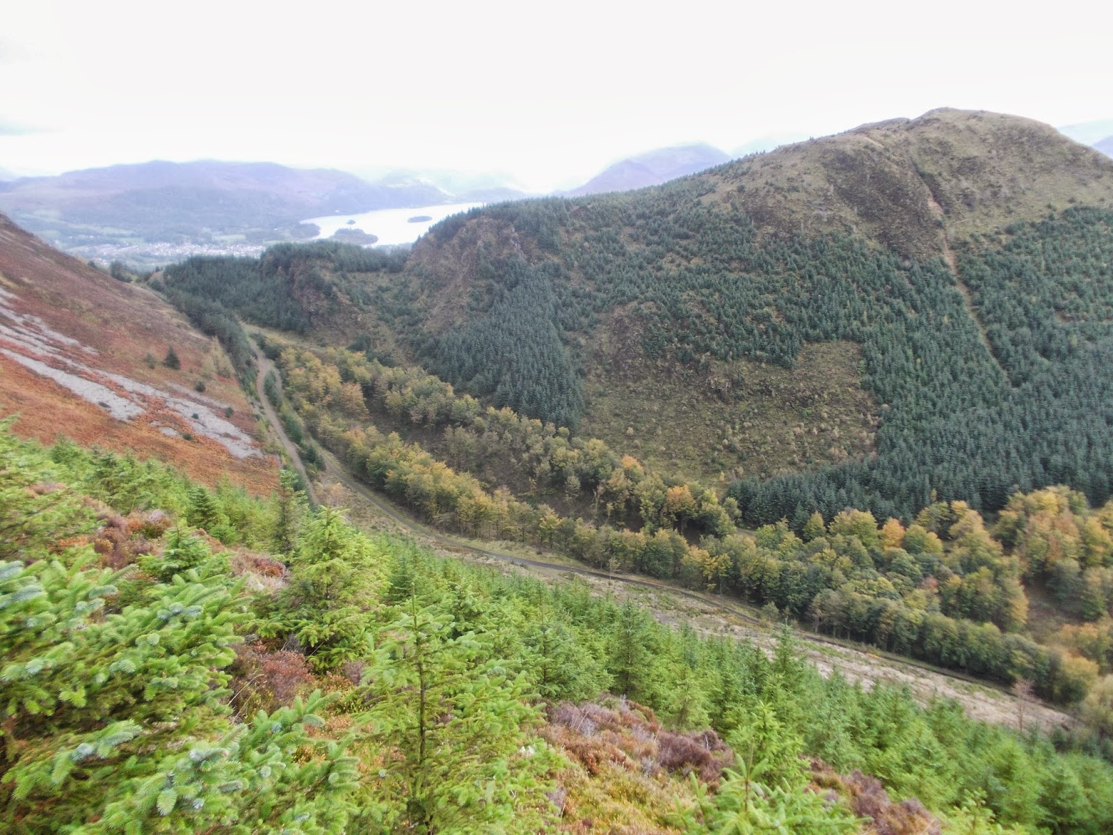 Obsessed: Lake district, Skiddaw, Ullock Pike and Dodd from Dodd Wood.