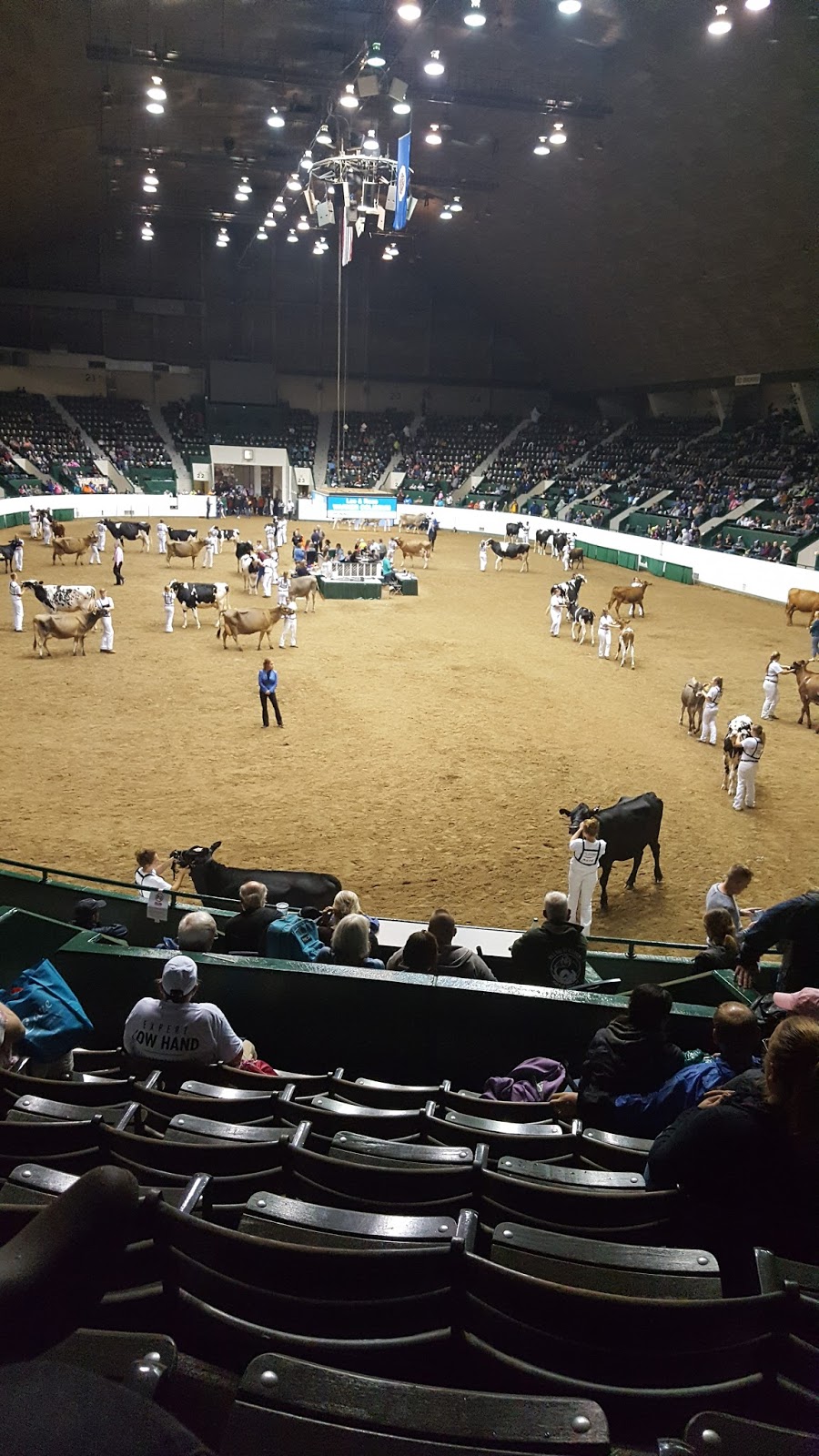 Emily Living and Laughing : Travel Adventures: Minnesota State Fair