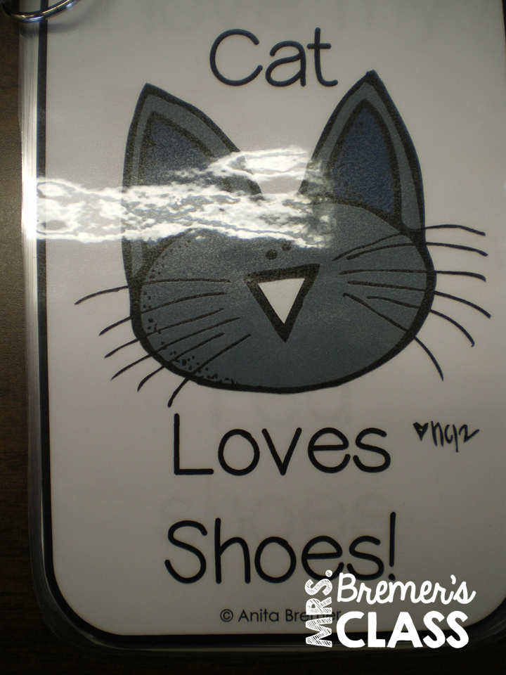 Pete the Cat! | Mrs. Bremer's Class