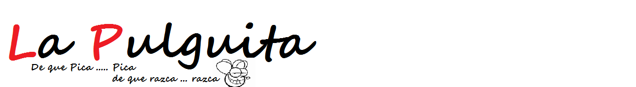 La Pulguita