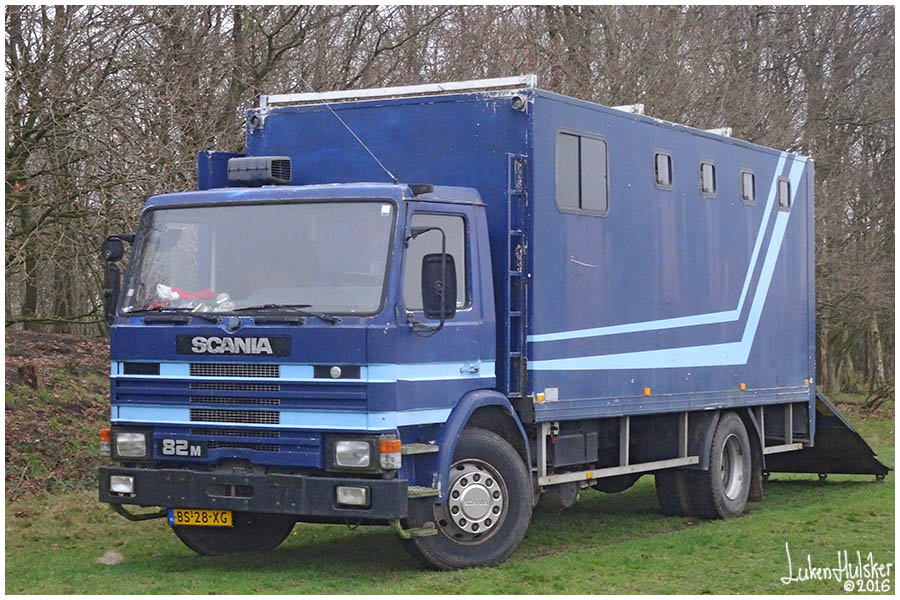 SCANIA: Scania 82M paardentransport