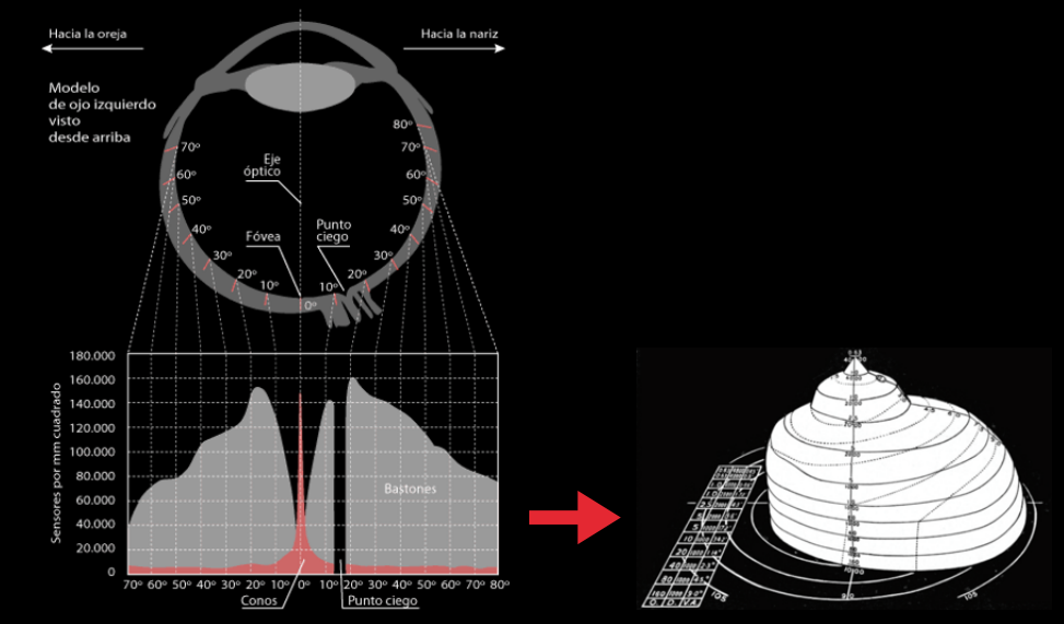 Interpretación Campo visual