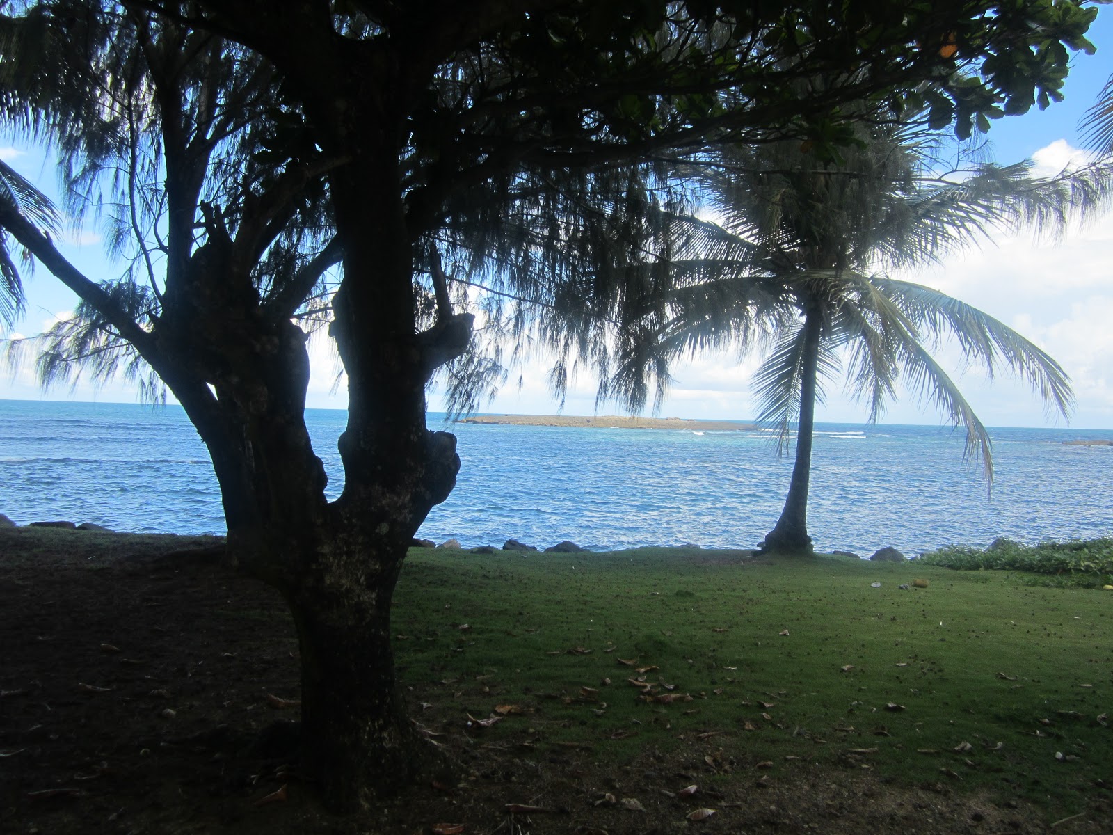 east coast heart and a west coast mentality: NASBR conference in Puerto ...