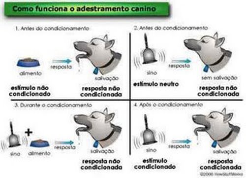 PSYCOWORK: Behaviorismo: Teoria Comportamental