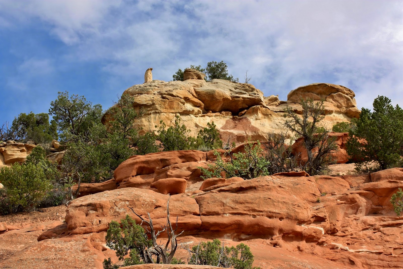 The Southwest Through Wide Brown Eyes: Double Stack to Fishmouth - Comb ...