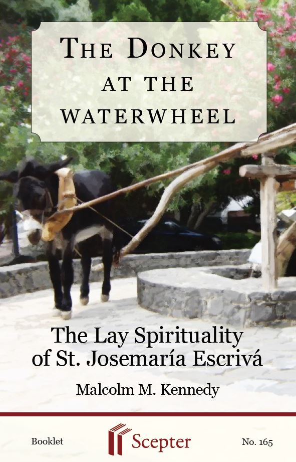 Book Reviews and More: The Donkey at the Waterwheel - Malcolm M ...