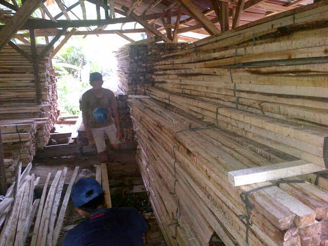 Jual Kayu: Kayu Bekisting, Kaso, Balok, Papan dan Reng