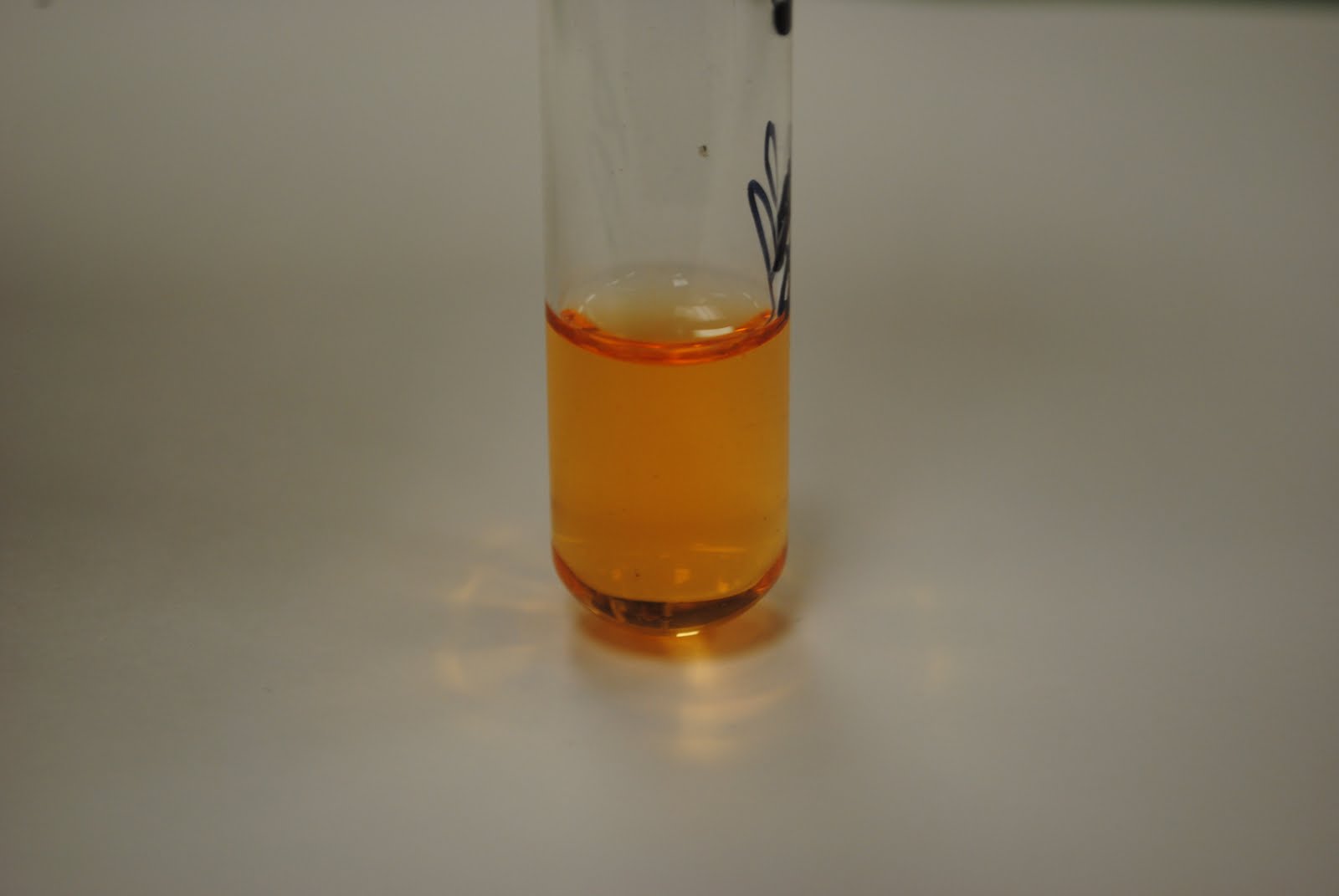 Biology Writing: Andrew Faust: Lab Report: Urea Hydrolysis Test