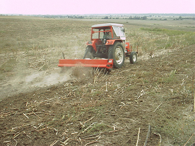 TARLA RESİMLERİ-Manzaralar