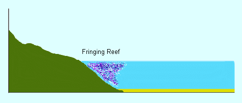 VUDEEVUDEE'S GEOGRAPHY BLOG: CORAL REEF