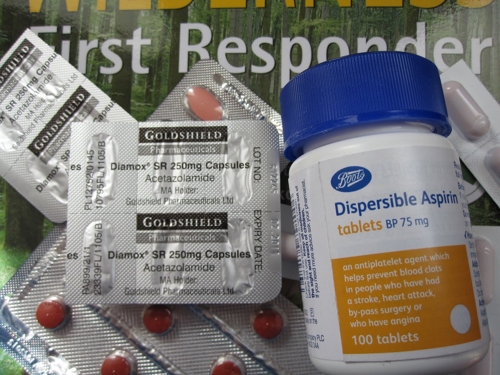 Rob Thornton's Solo Mountaineering Blog.: ALTITUDE SICKNESS. (Part deux!!!)