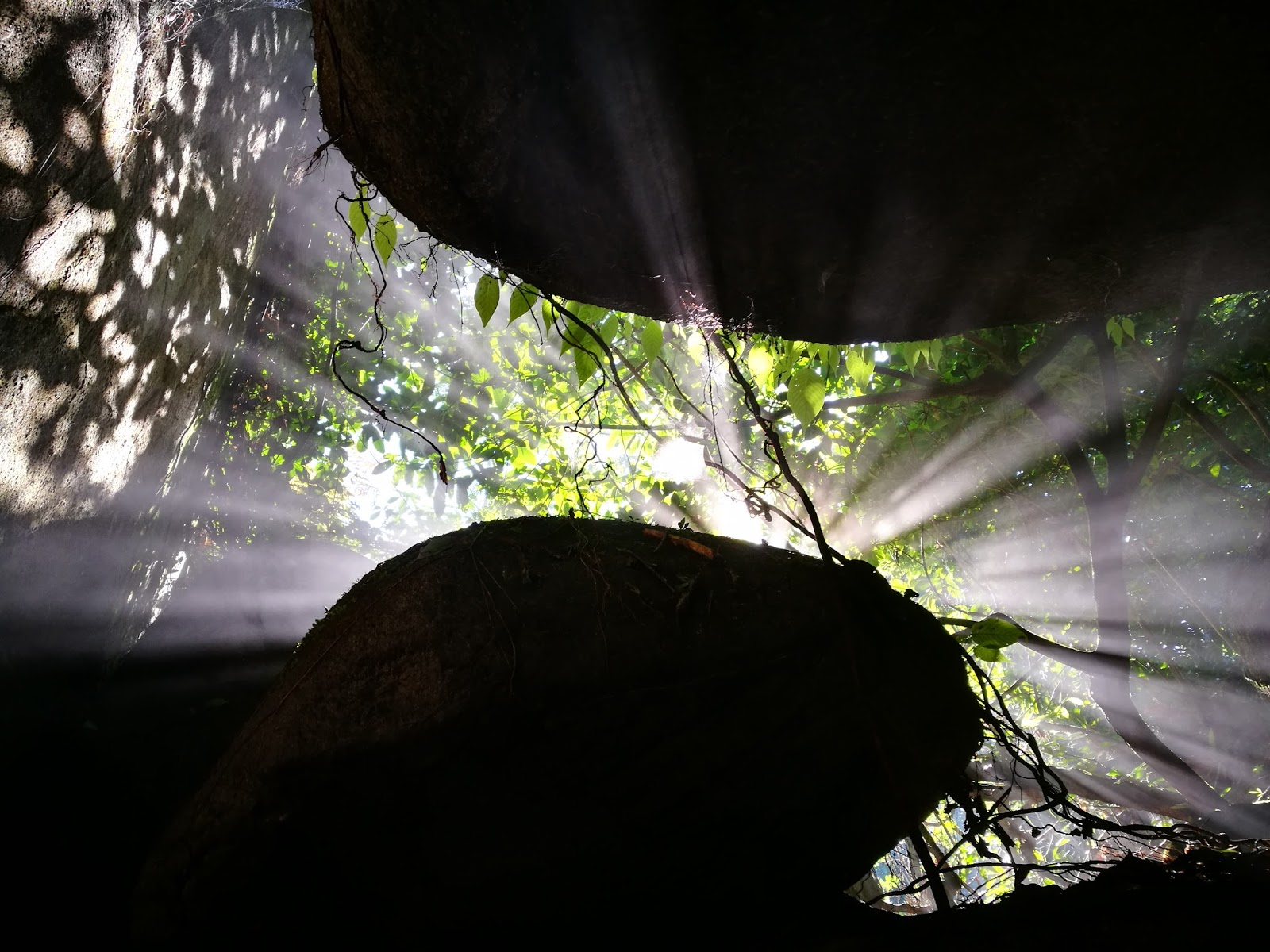 Gua Batu Maloi Caving Adventure- Overcoming Your Claustrophobia ...