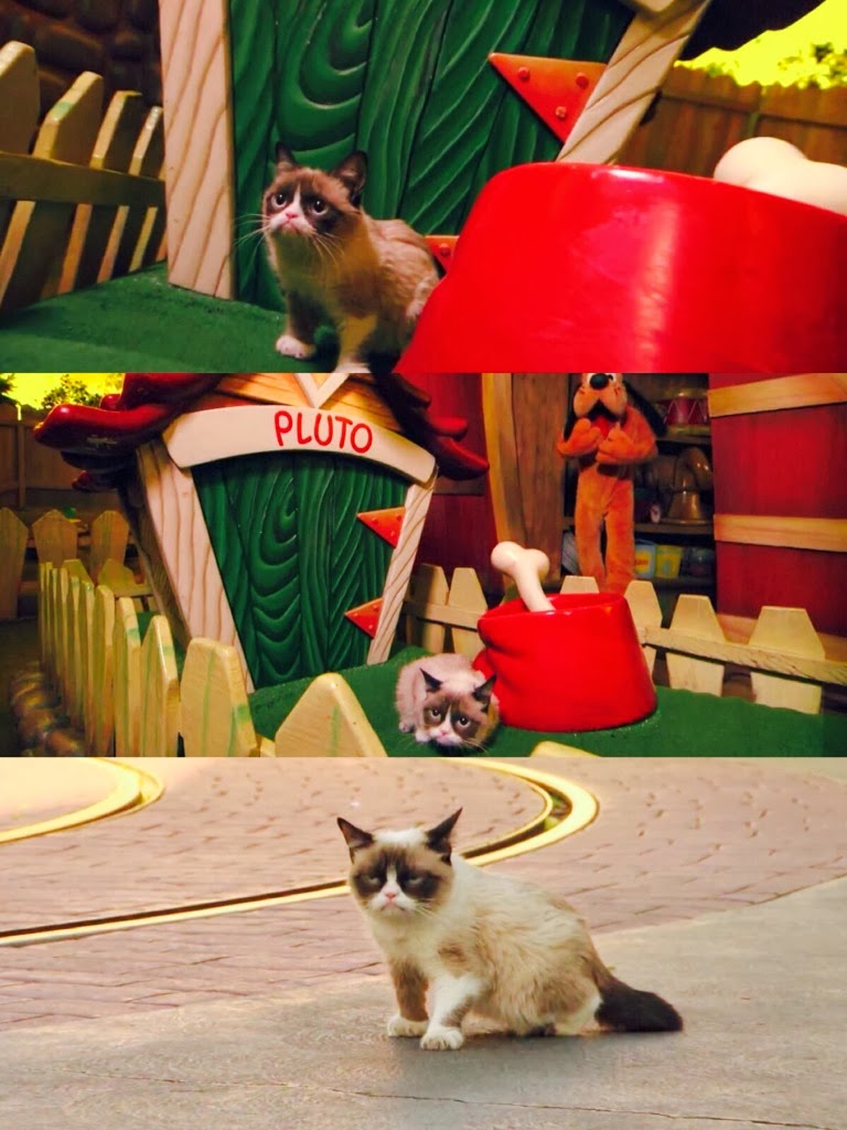 Calvin's Canadian Cave of Coolness: Grumpy Cat's Disney Adventure