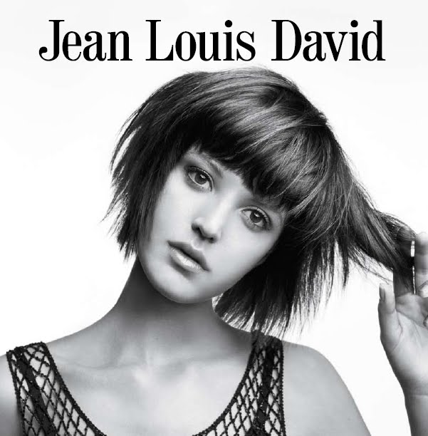 NICE&BEAUTY: jean louis david