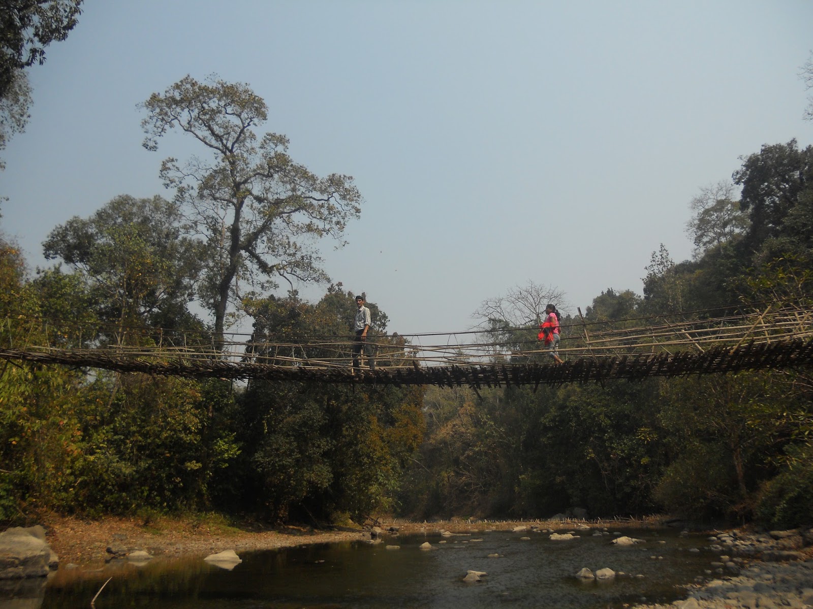 Rainforest of Assam: PHOTO GALLERY