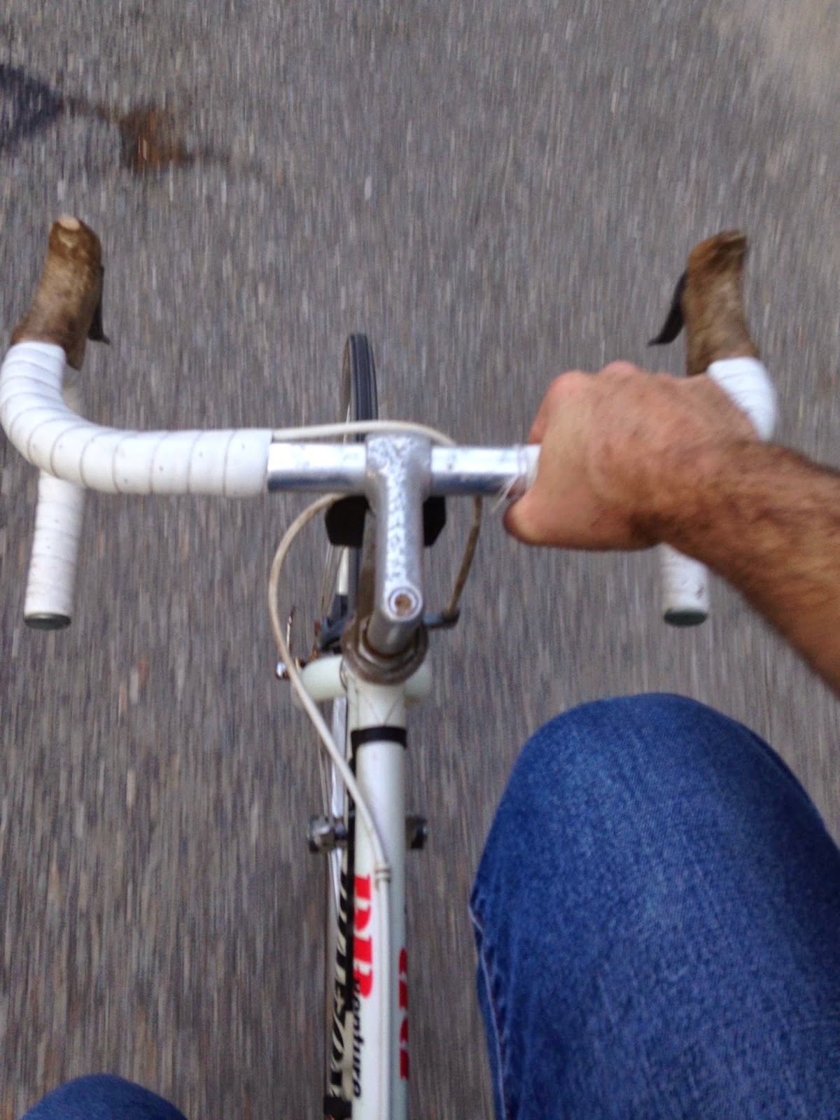 DIY Biking | How bike builds, bike travel and bike life can save the ...