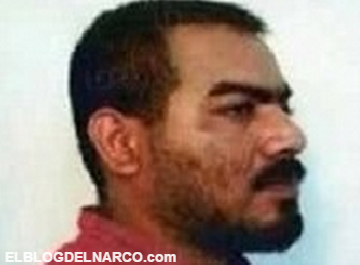 Noticias sobre el narco : MundoNarco.Com