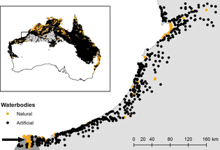 Biosecurity and Invasive Species: The march of the Cane toads