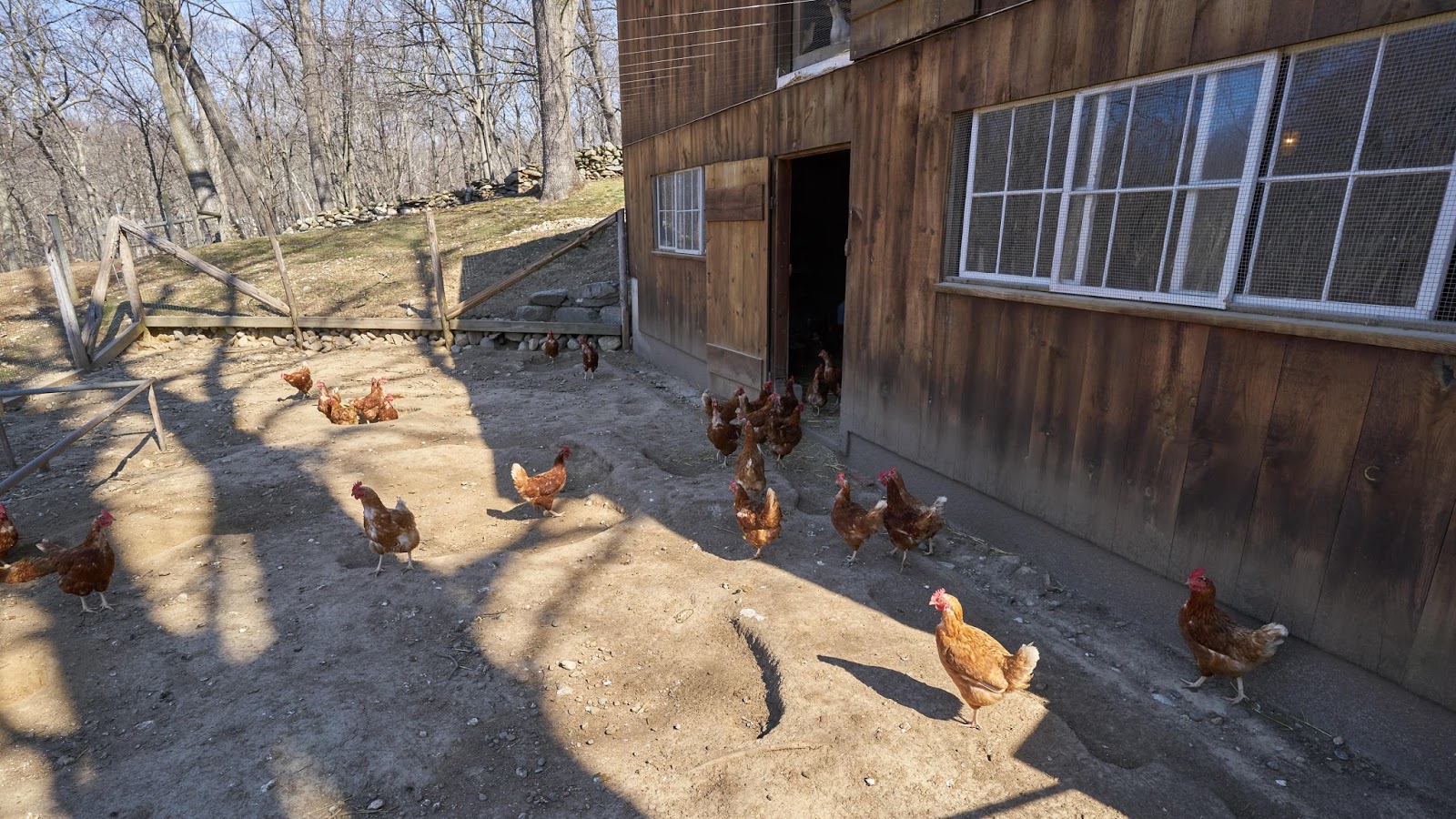 CT Farm Fresh Express LLC