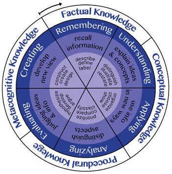 exzuberant: How do we visualise Bloom's Taxonomy?