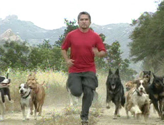 My Whole Life Story: # Mengenal lebih dekat tentang CESAR MILLAN#