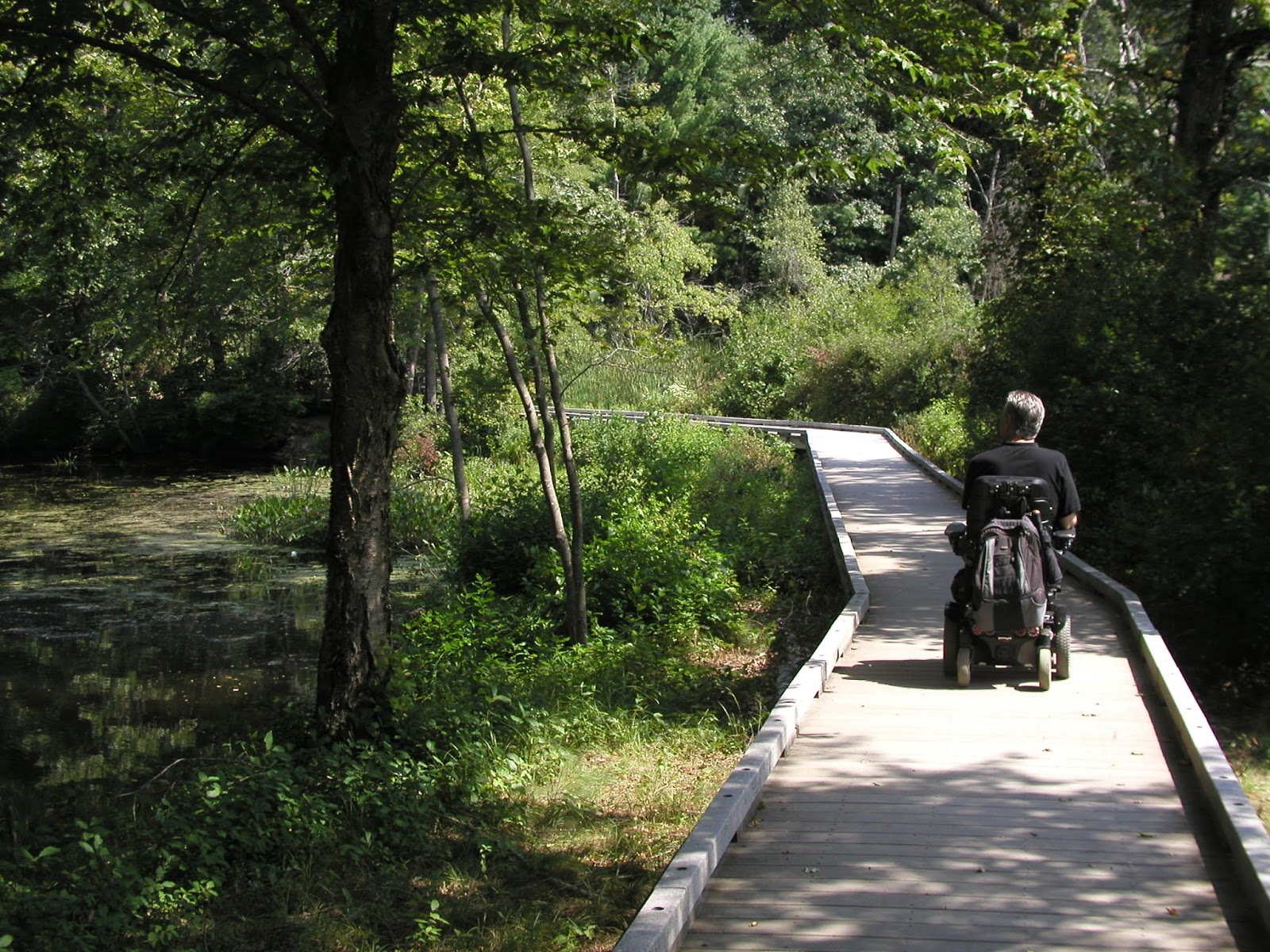 Wheelchair Accessible Public Parks