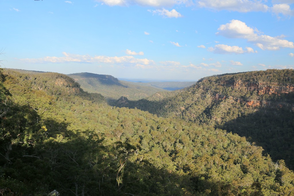National Park Odyssey: Blackdown Tableland National Park: Mook Mook and ...