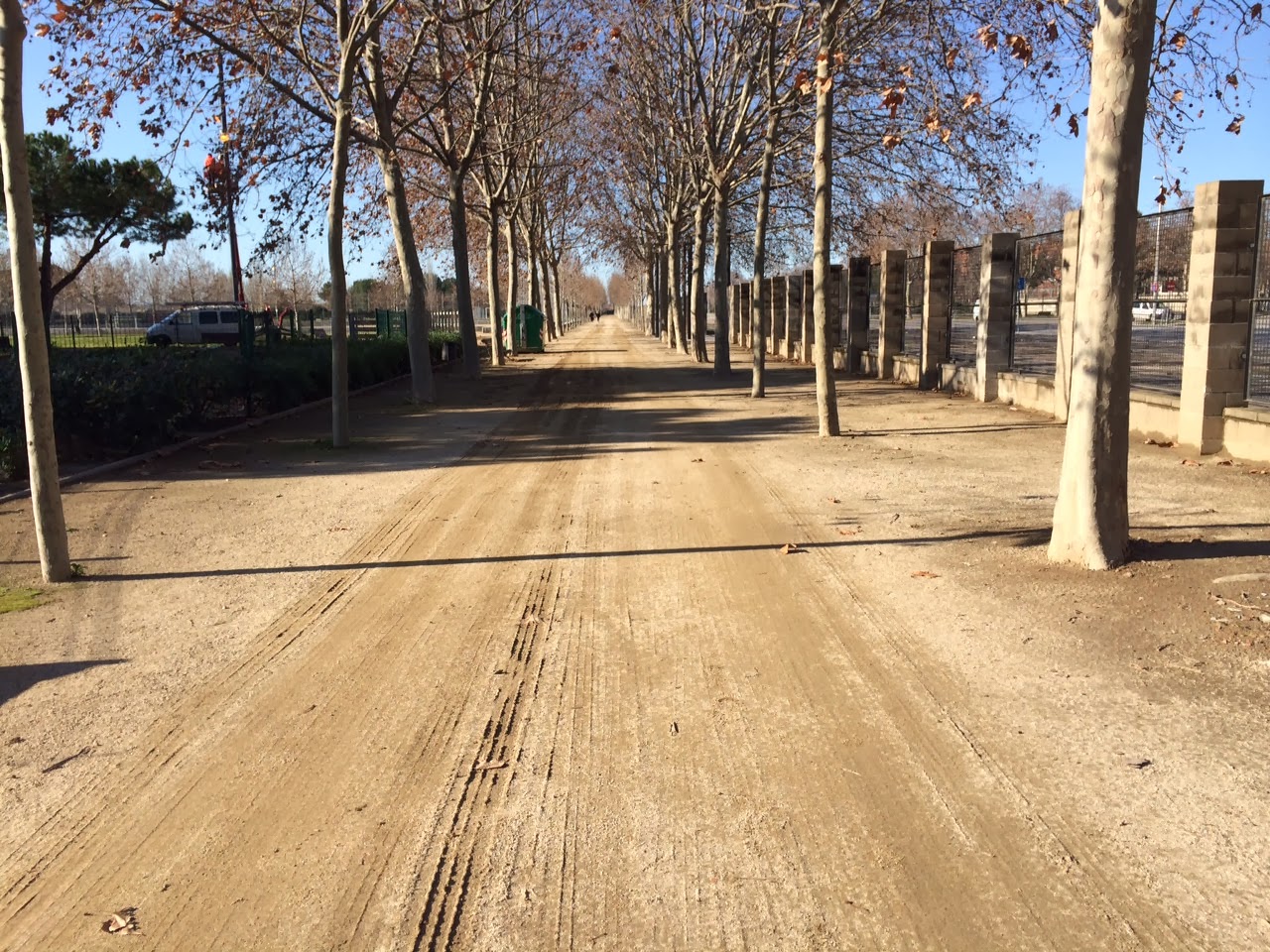 Carles Castillejo: Una carretera llena de curvas