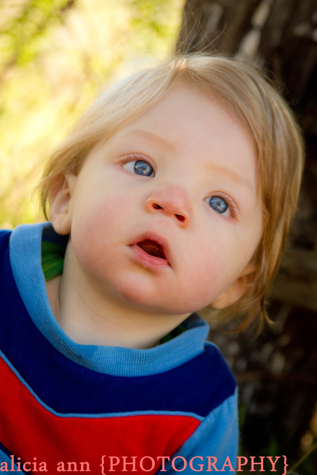 alicia ann {PHOTOGRAPHY}: Generations of LOVE {Nickens Family}