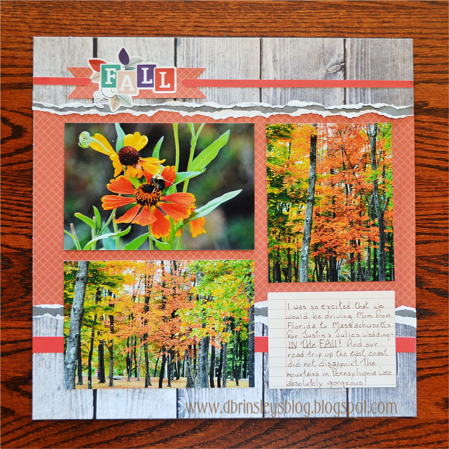 D. Brinsley's Memory Keeping Blog: Fall In Borders and Layouts