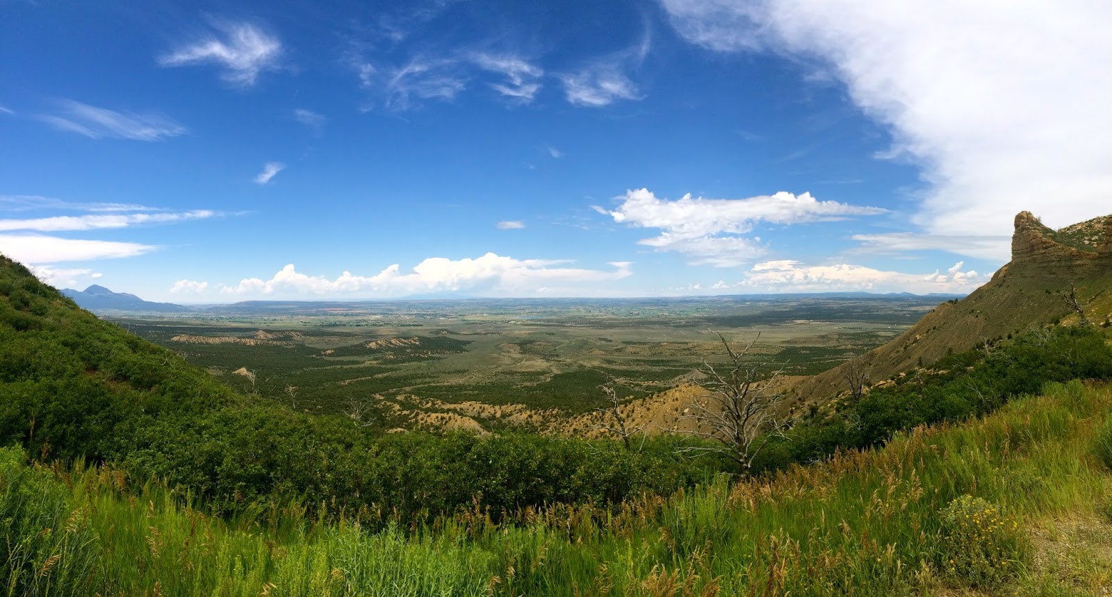 Deety Goes West: Day 11: Ladder Hikes, Ancient Indian Cliff Dwellings ...