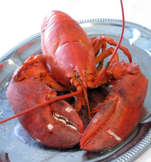 "Anya, ez isteni!...", avagy Gabojsza konyhája: Homár Thermidor