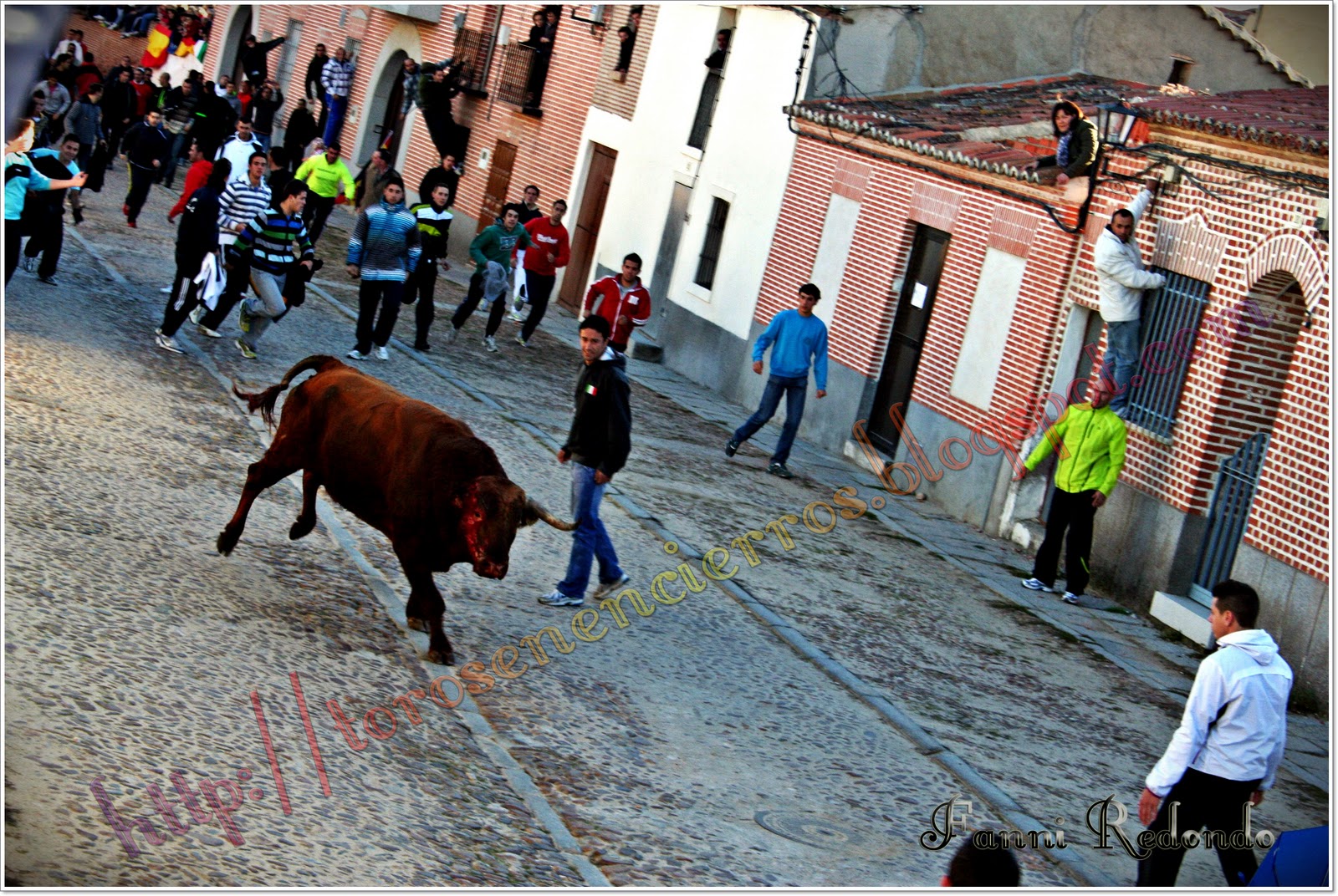 Toros En Encierros: Toro de San Nicolas (Madrigal de las Altas Torres ...