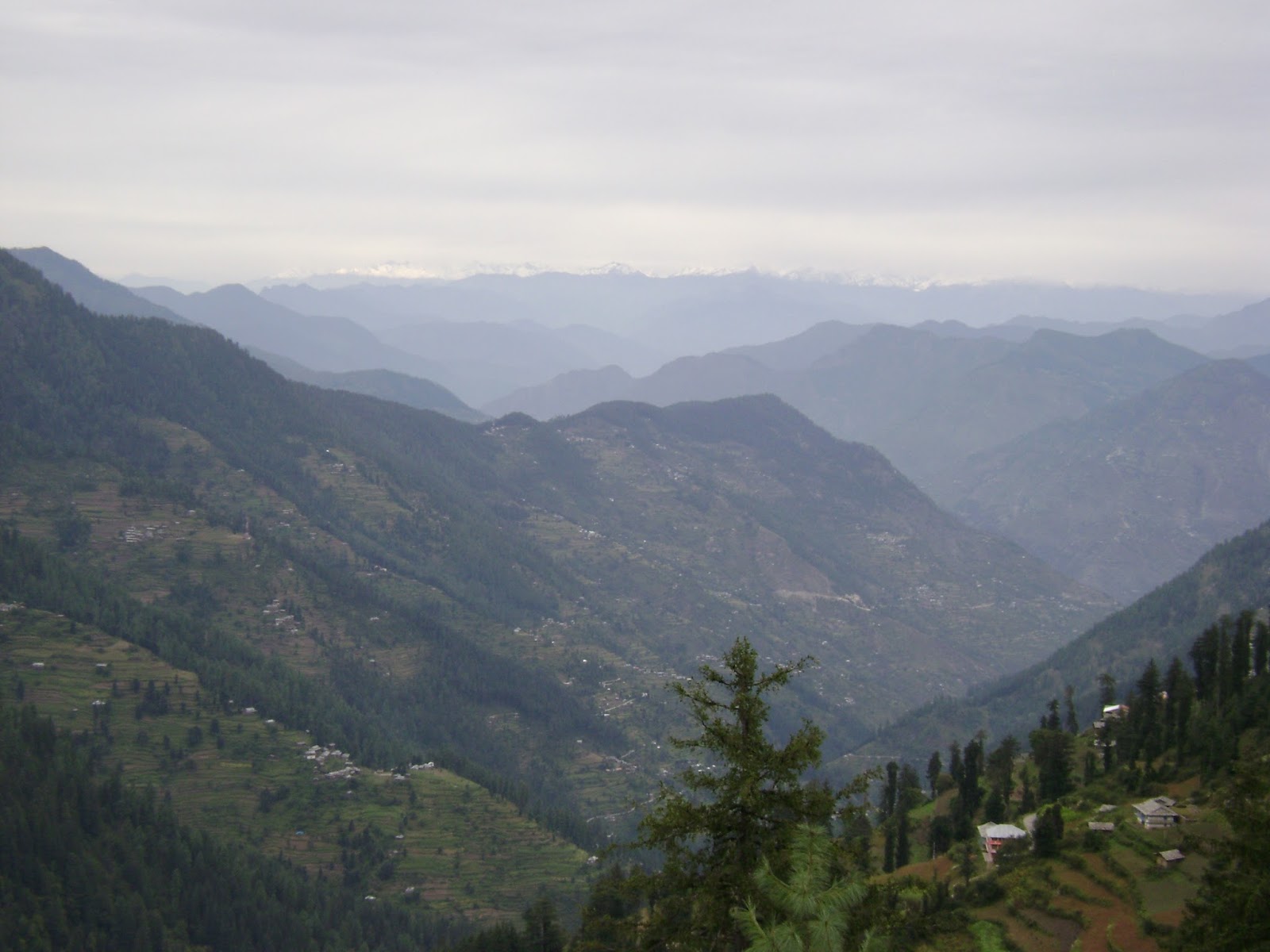Shoja the most beautiful destination in Himachal Pradesh