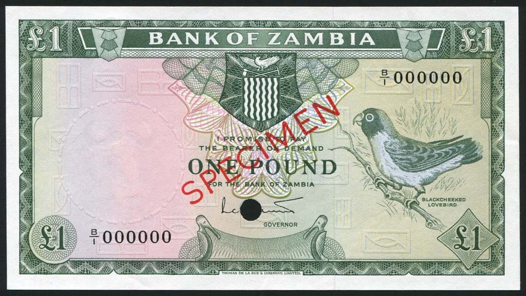 Zambia banknotes 1 Pound note 1964 Black-cheeked Lovebird|World ...