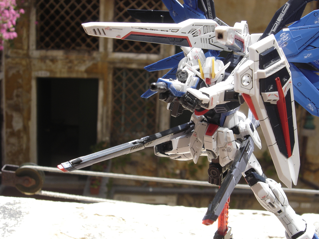 Lightning Ace's gundams: Strike freedom gundam & Destiny gundam (RG 1/144)