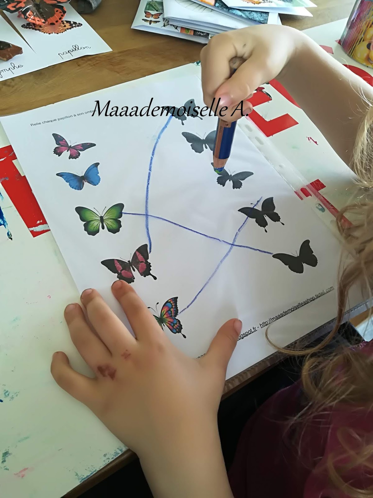 Maaademoiselle A.: || Nos activités sur les papillons