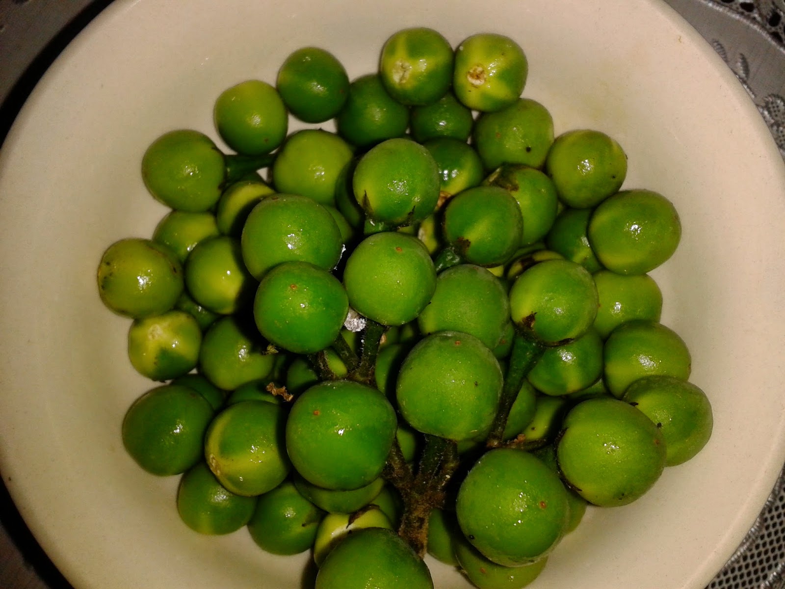 Arcot's Traditional Recipes: Pachai Sundakkai Kuzhambu/ Green Sundakkai ...
