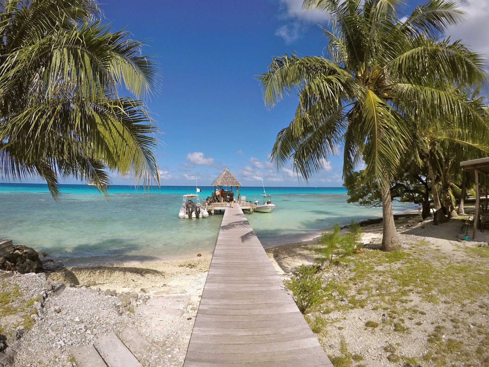 Polinésia Francesa e a ilha de Rangiroa, por Thais Eller | Apaixonados ...