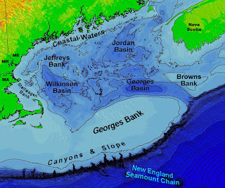Harbor Watch: The Gulf of Maine