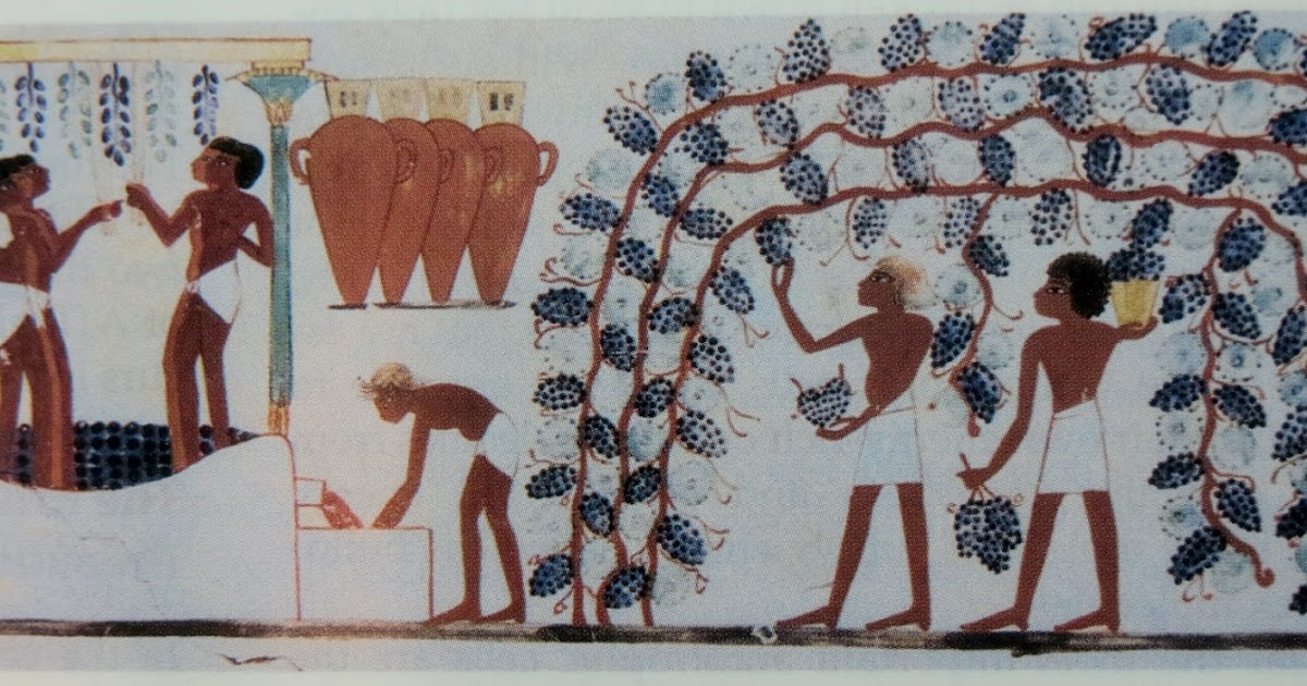 EnoViti: Ancient Documentation of Winemaking