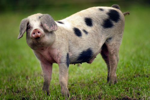 Hex in the city: Ridiculous manicure, Jersday, and a POW