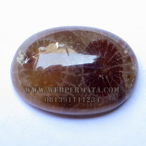 Merah Batu Permata: Batu Akik Teratai Asli