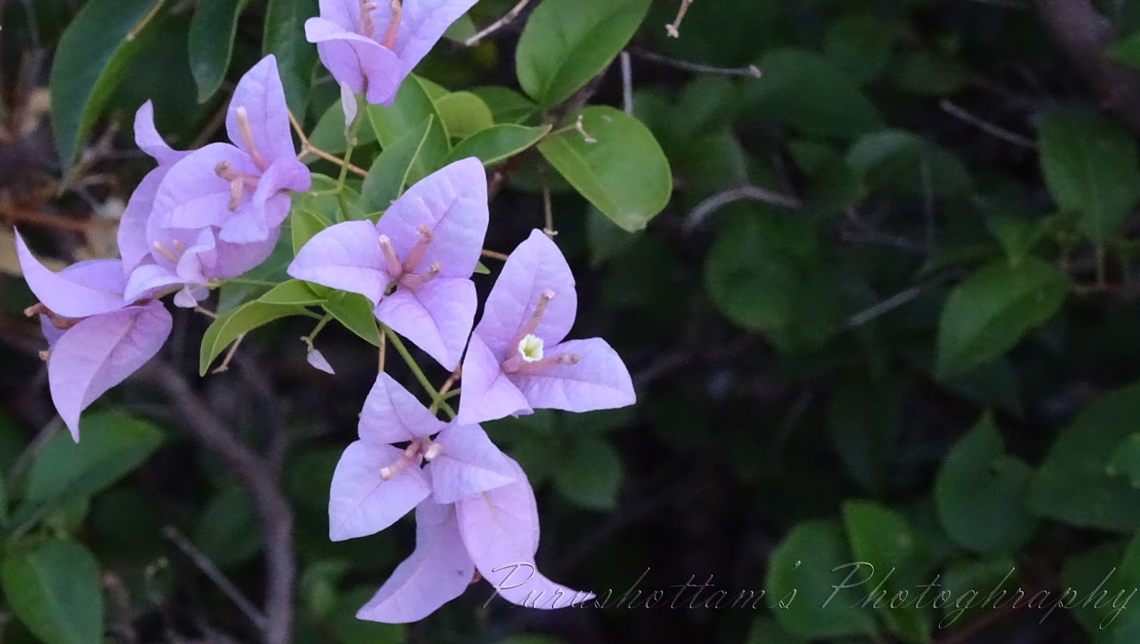 My Travel Photography...: Jindal's Vidya Nagar Township, Toranagallu
