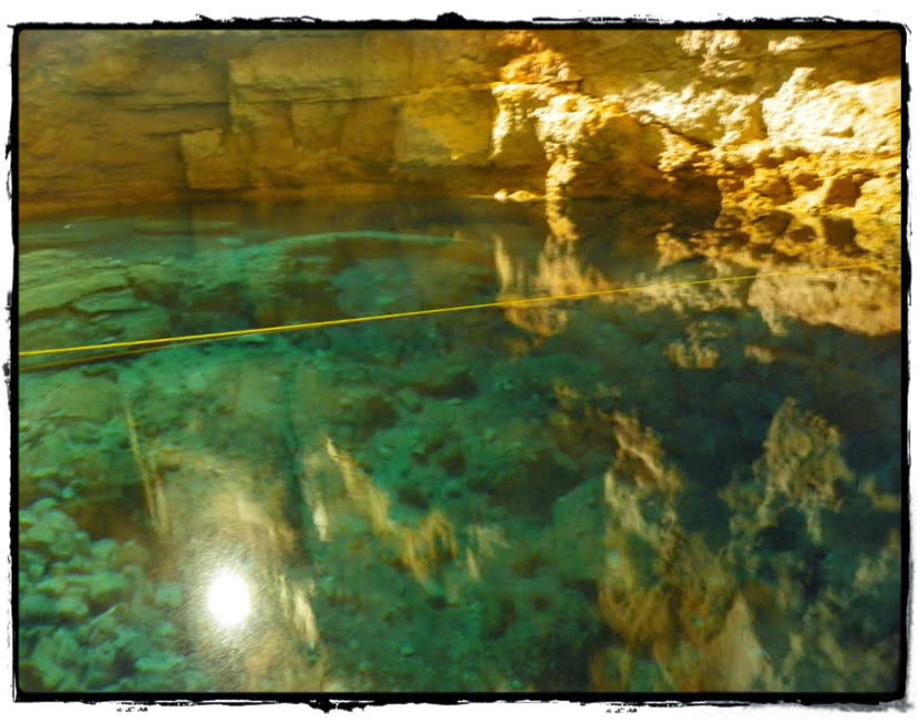 Te propongo el plan de viaje: Los mejores cenotes de Riviera Maya