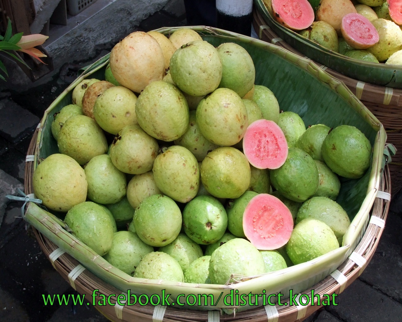 Kohat The Prince of Mountains: Amrood (Guava) Kohat Specialty