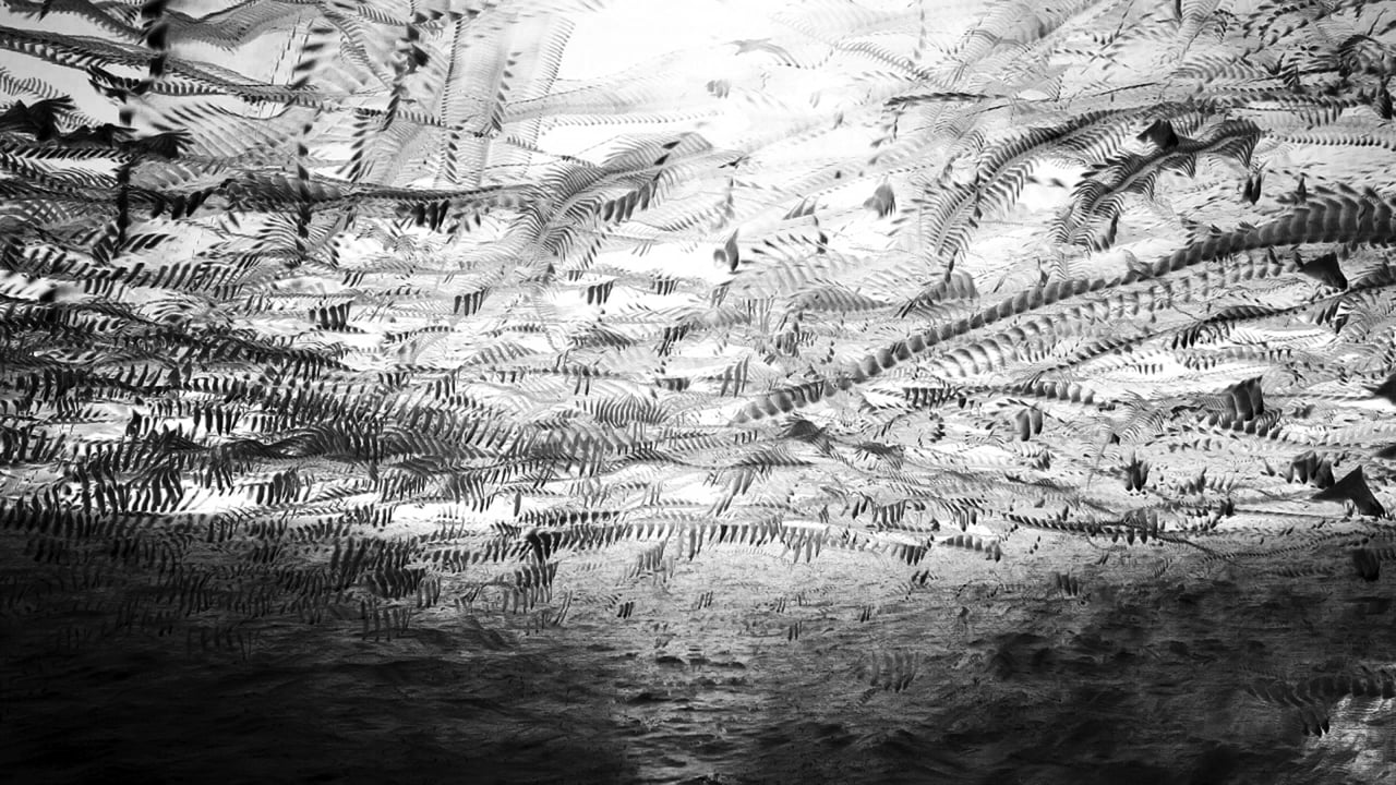 the art room plant: Xavi Bou